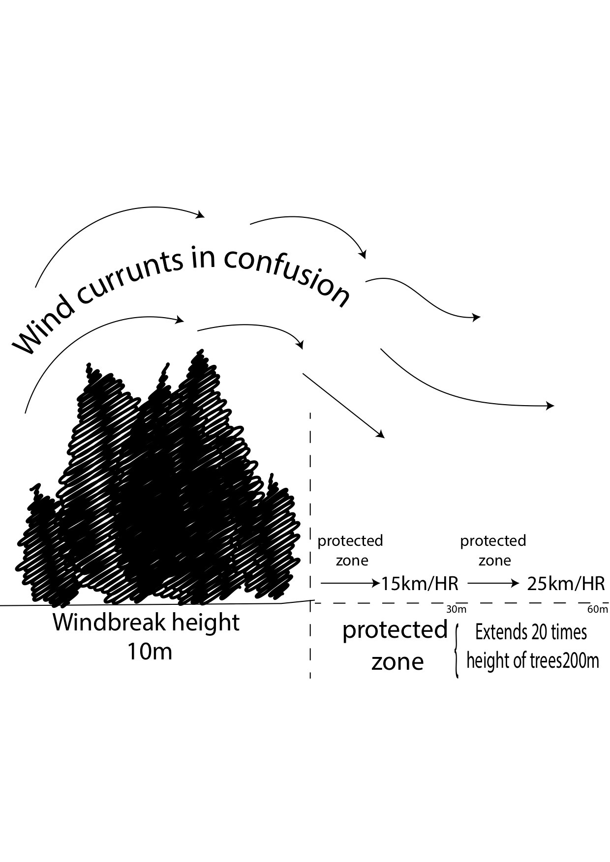 Importance of Windbreaks - ERuDeF