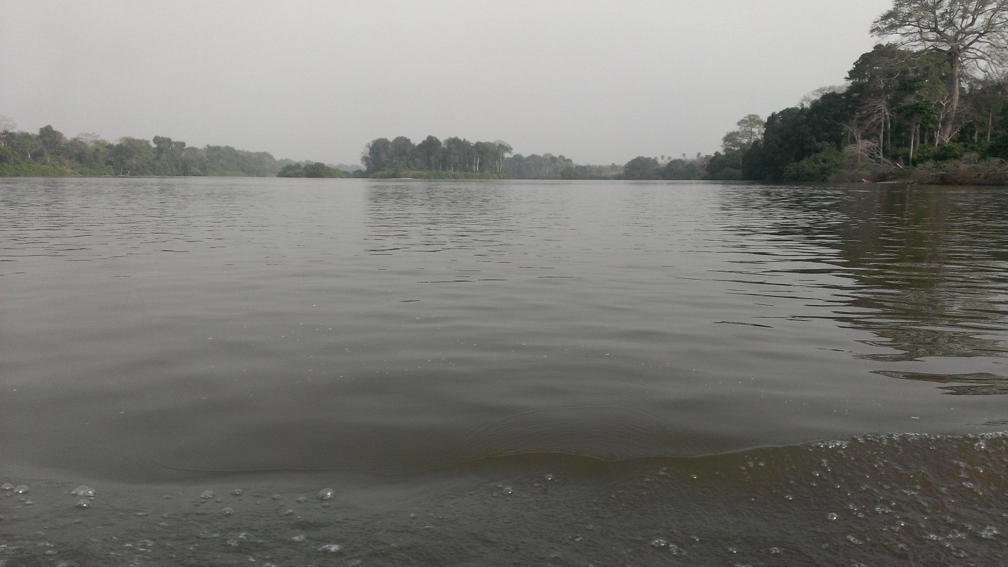 Adamawa Plateau Initiative - ERuDeF